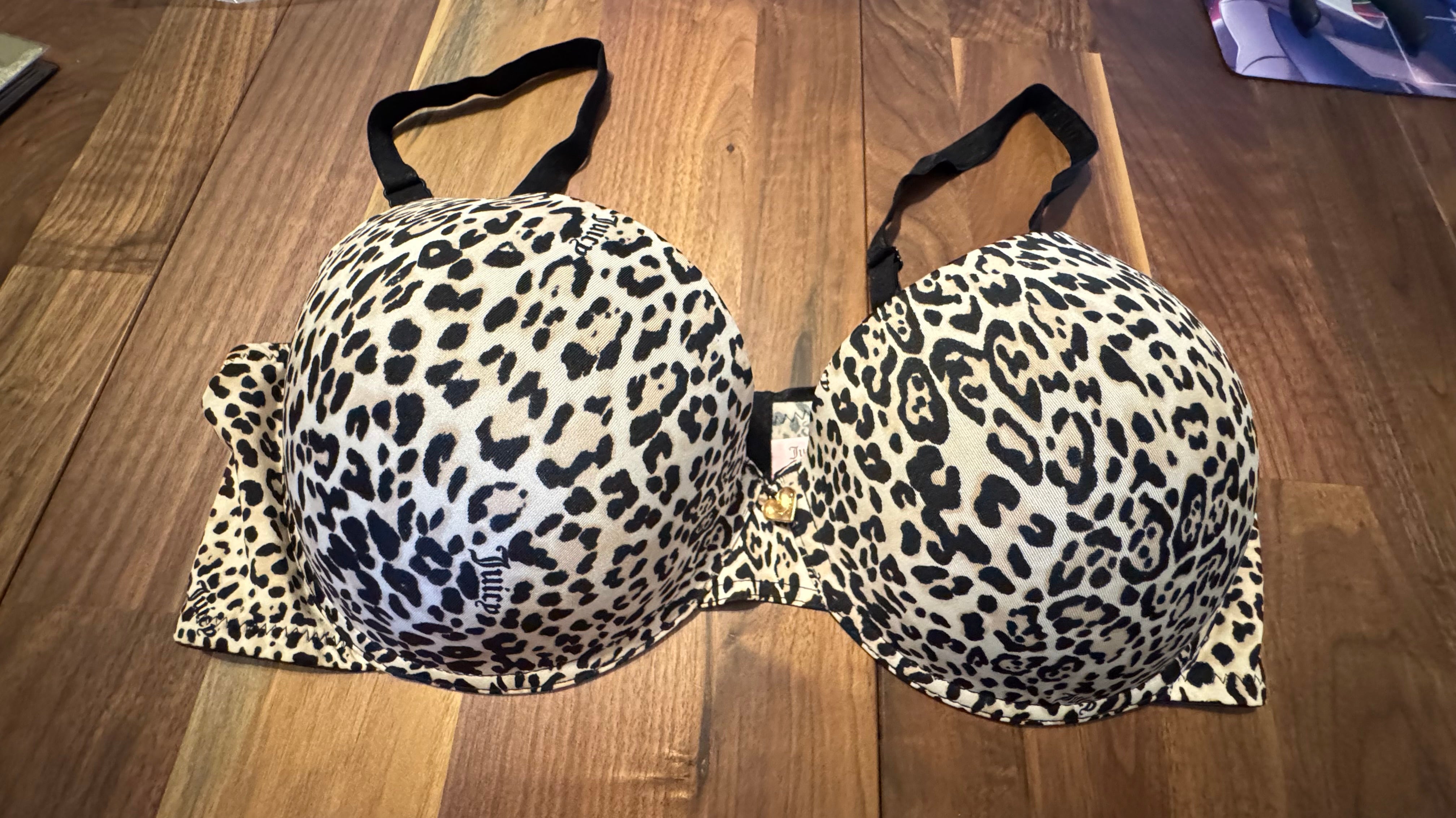 Home page – Striderscribe